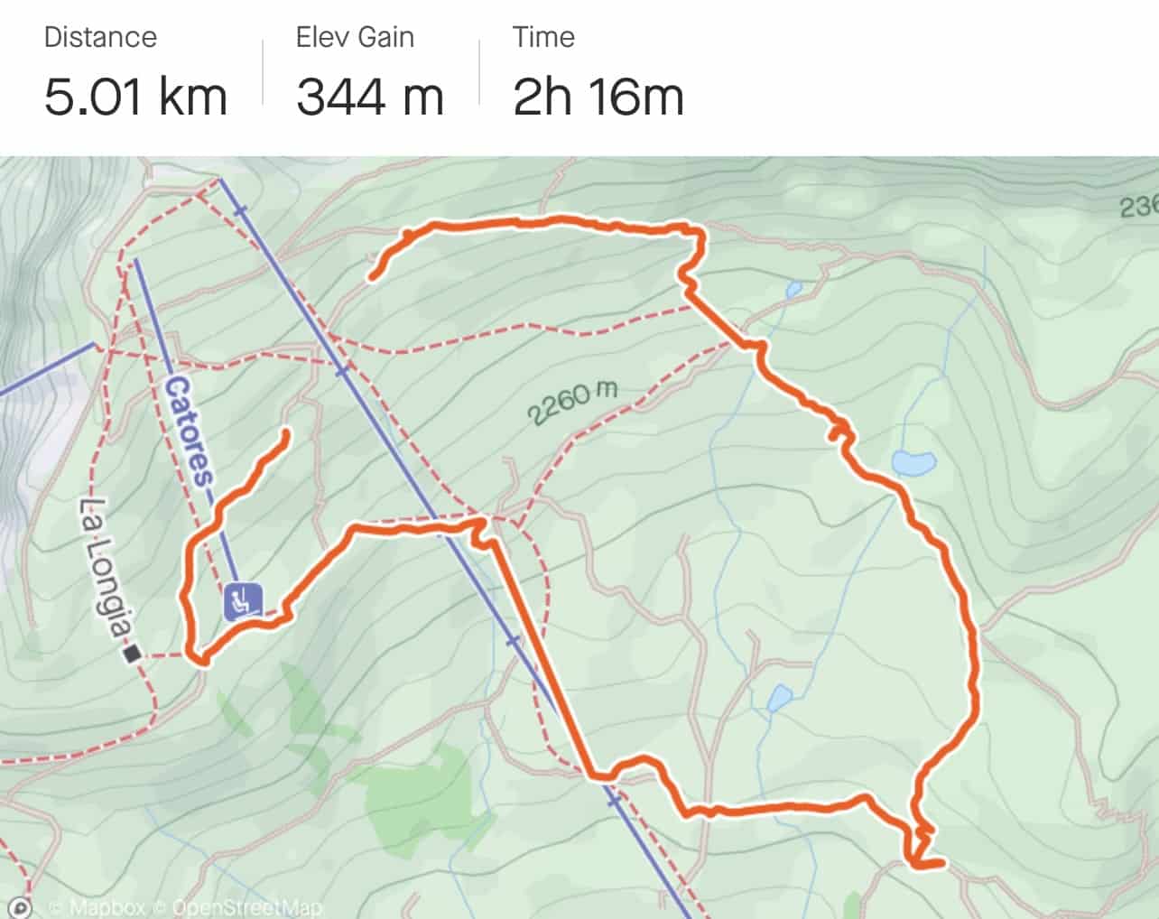 Seceda Dolomites: A Complete Guide to Visiting in 2023