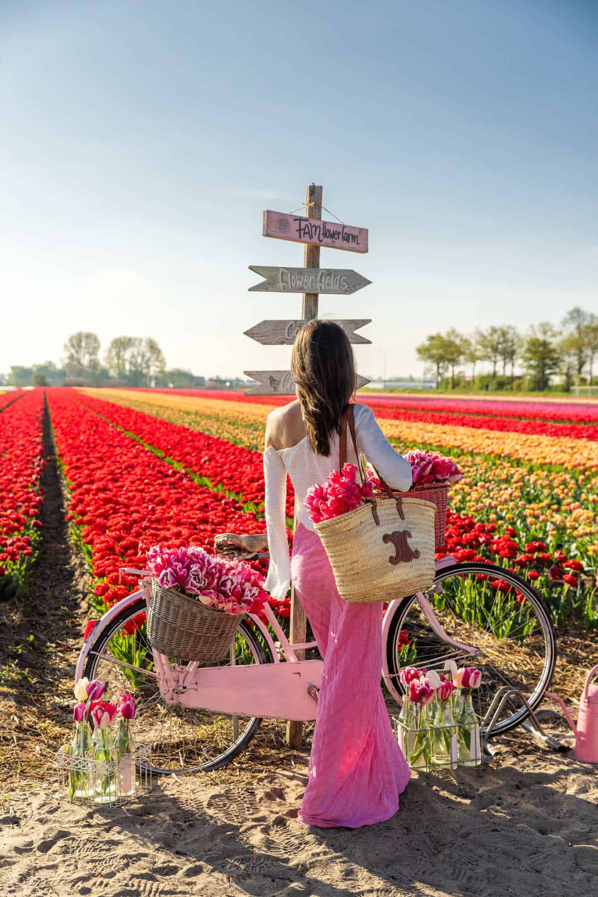 Best Tulip Fields in The Netherlands (Includes a Map)